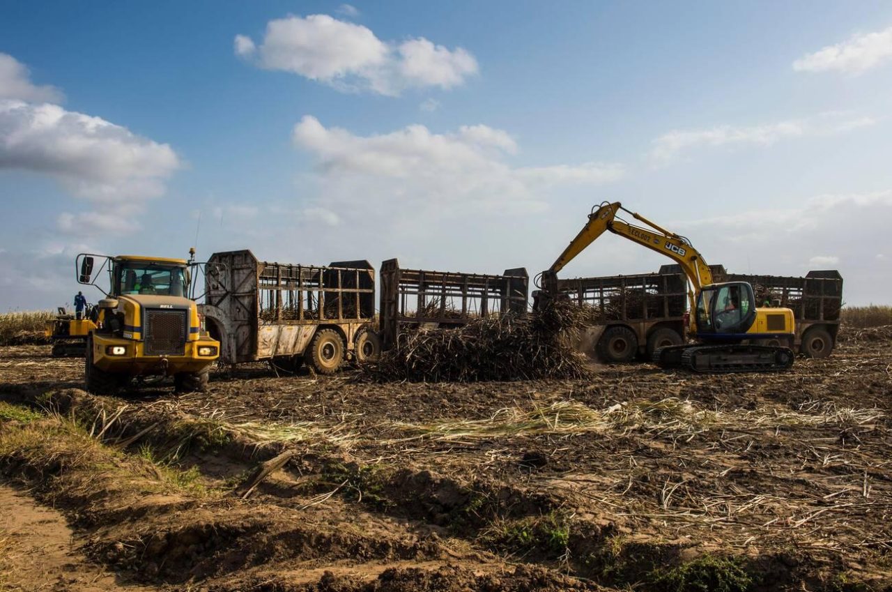 Investment Opportunities in Malawi’s Sugar Industry - The African dreams