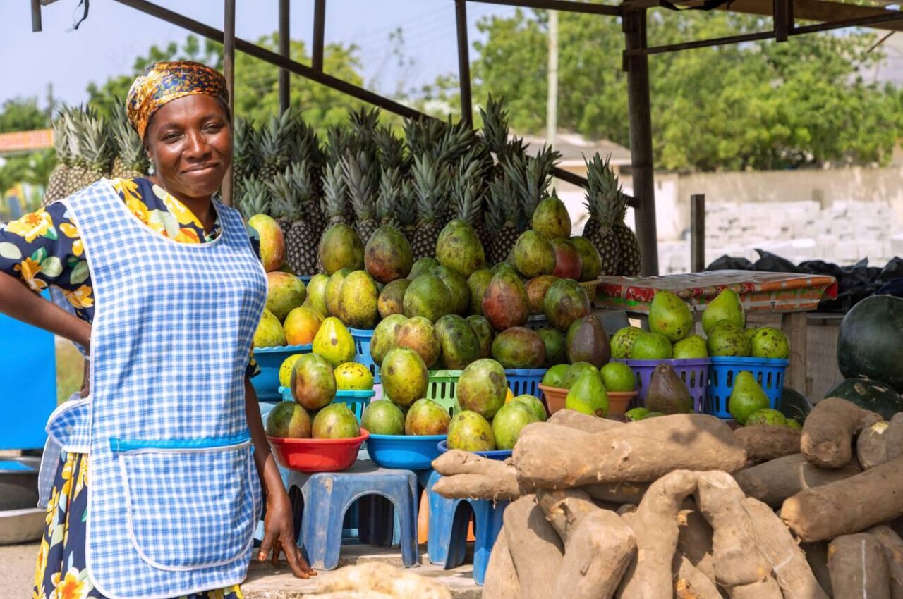 Mango Sector in Ghana: A Prospect for Long-Term Development - The African dreams